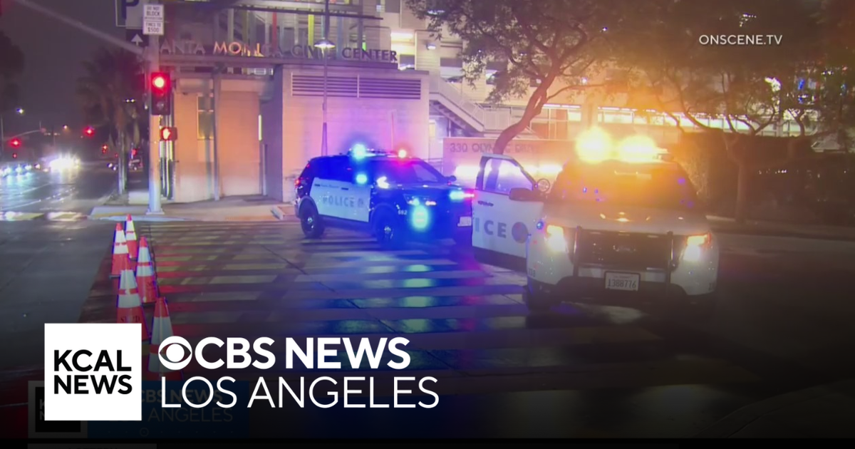 Santa Monica police officer released from hospital after stabbing ...