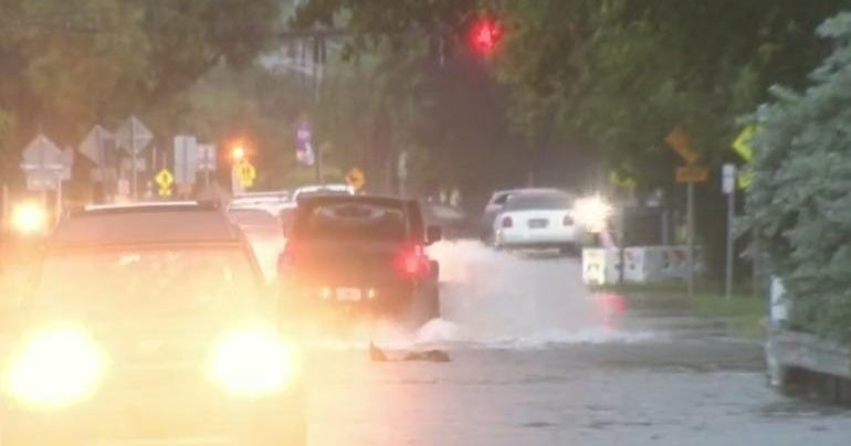 Hollywood streets flood after heavy rainfall - CBS Miami