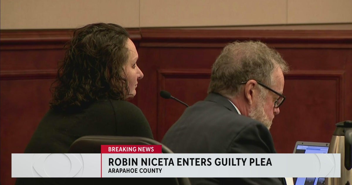 Robin Niceta pleads guilty to faking cancer to avoid prosecution in ...