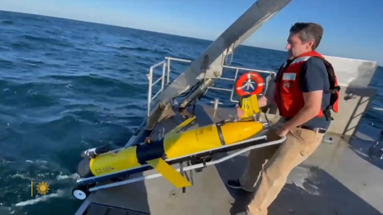 Protecting whales from ship strikes - CBS News
