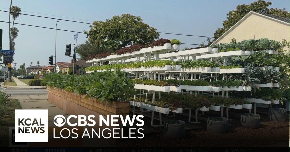 KCAL in the Community - CBS Los Angeles