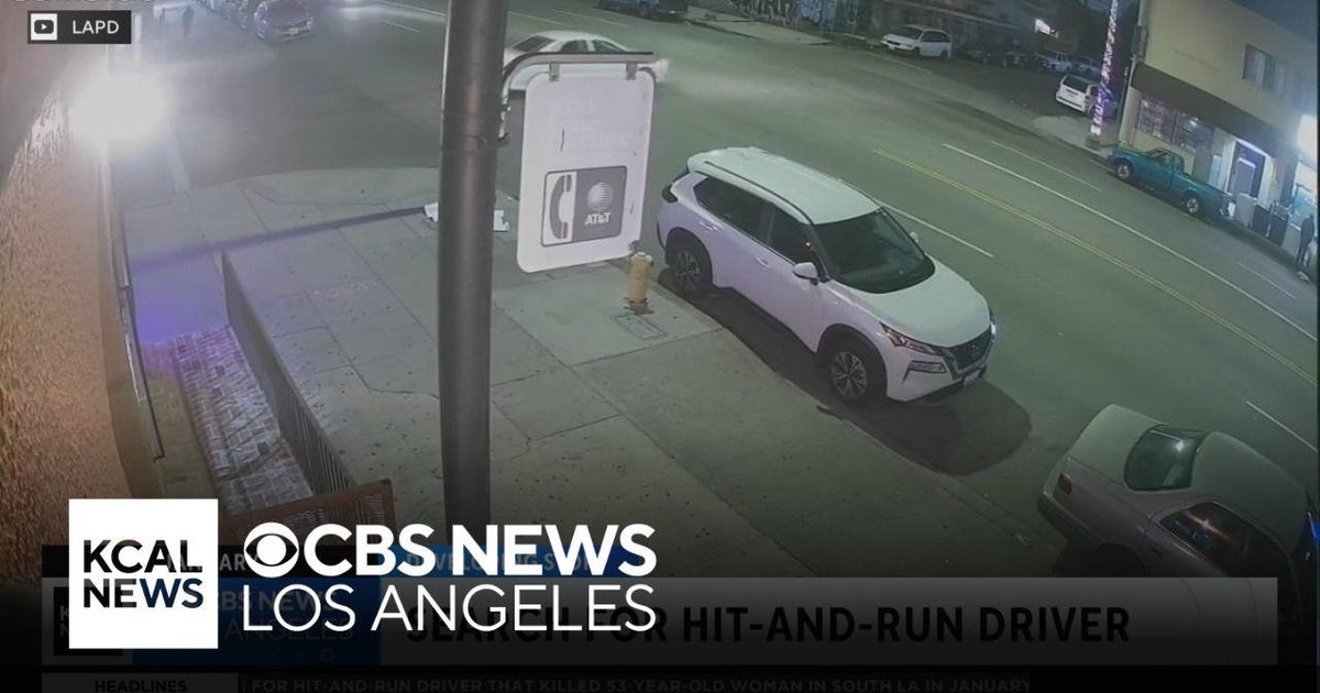 $50K reward in search for hit-and-run driver who killed woman in South LA - CBS Los Angeles