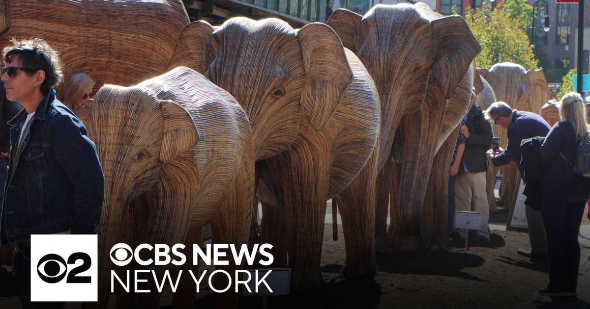 Elephant art installation on display in NYC through weekend - CBS New York