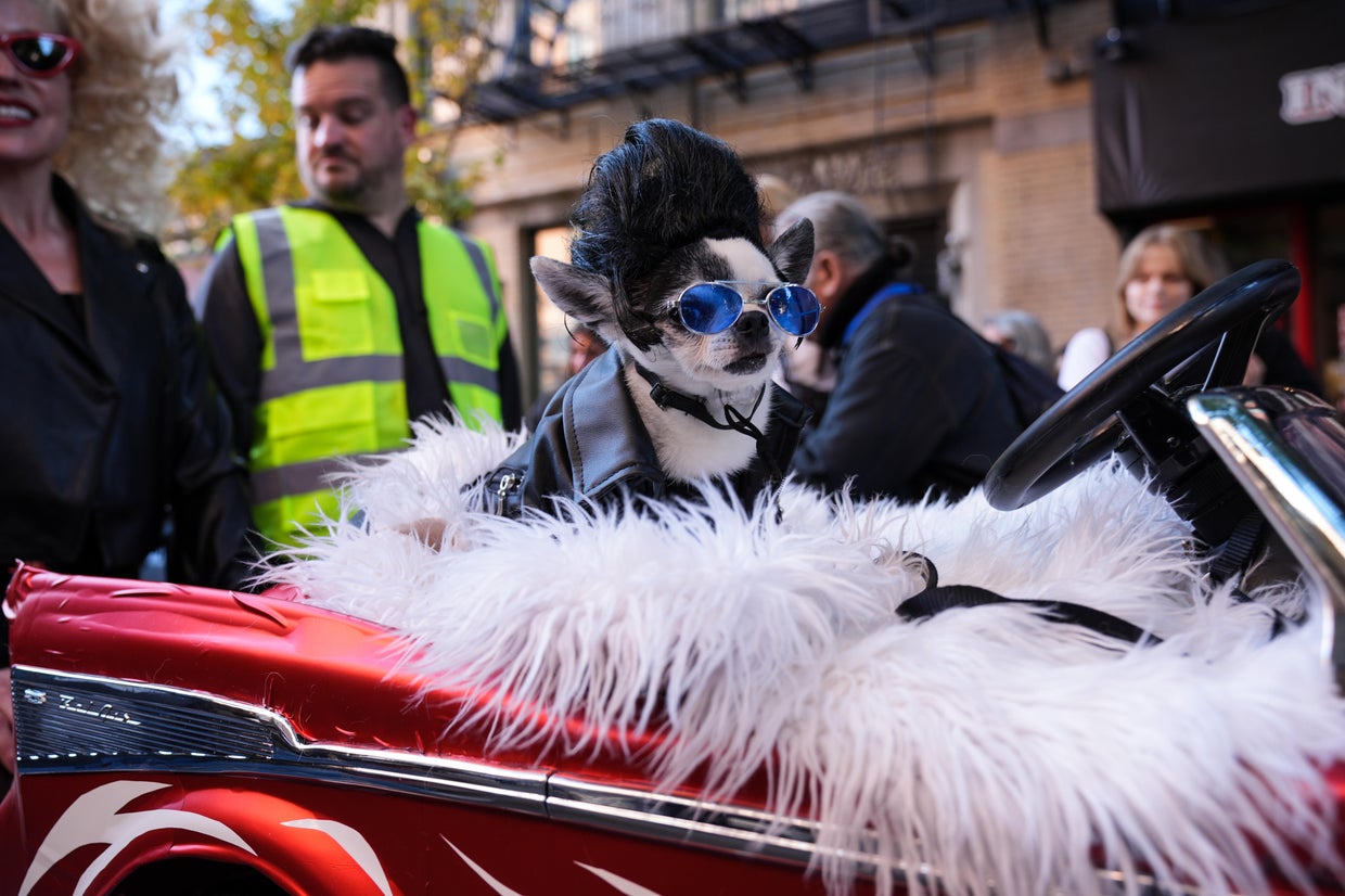 34th Annual Tompkins Square Halloween Dog Parade held in NYC. See photos.