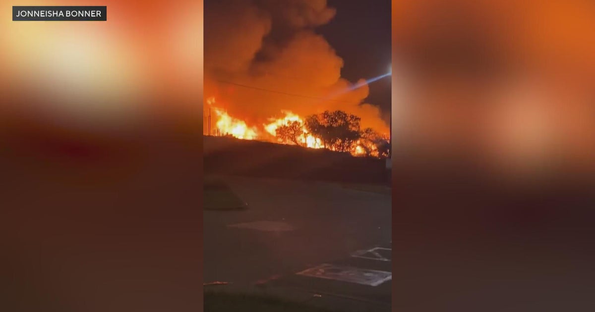 6 buildings sustain damage after large pallet fire near Dallas Love ...