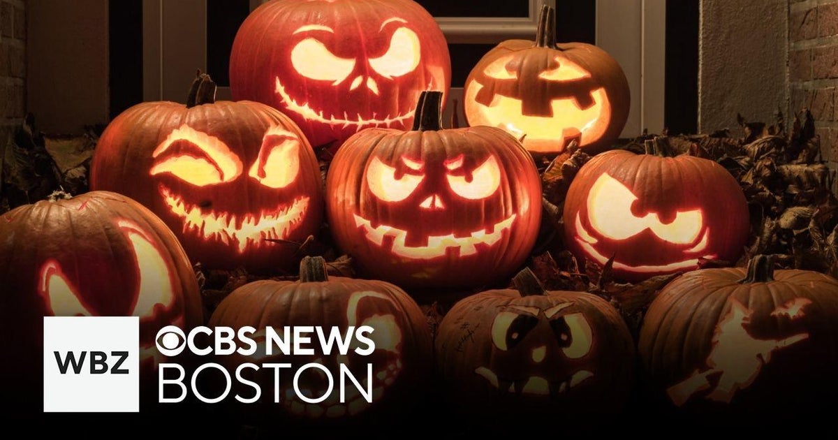 Weekend To Do List: "Hocus Pocus" tour, dog costume parade and ...