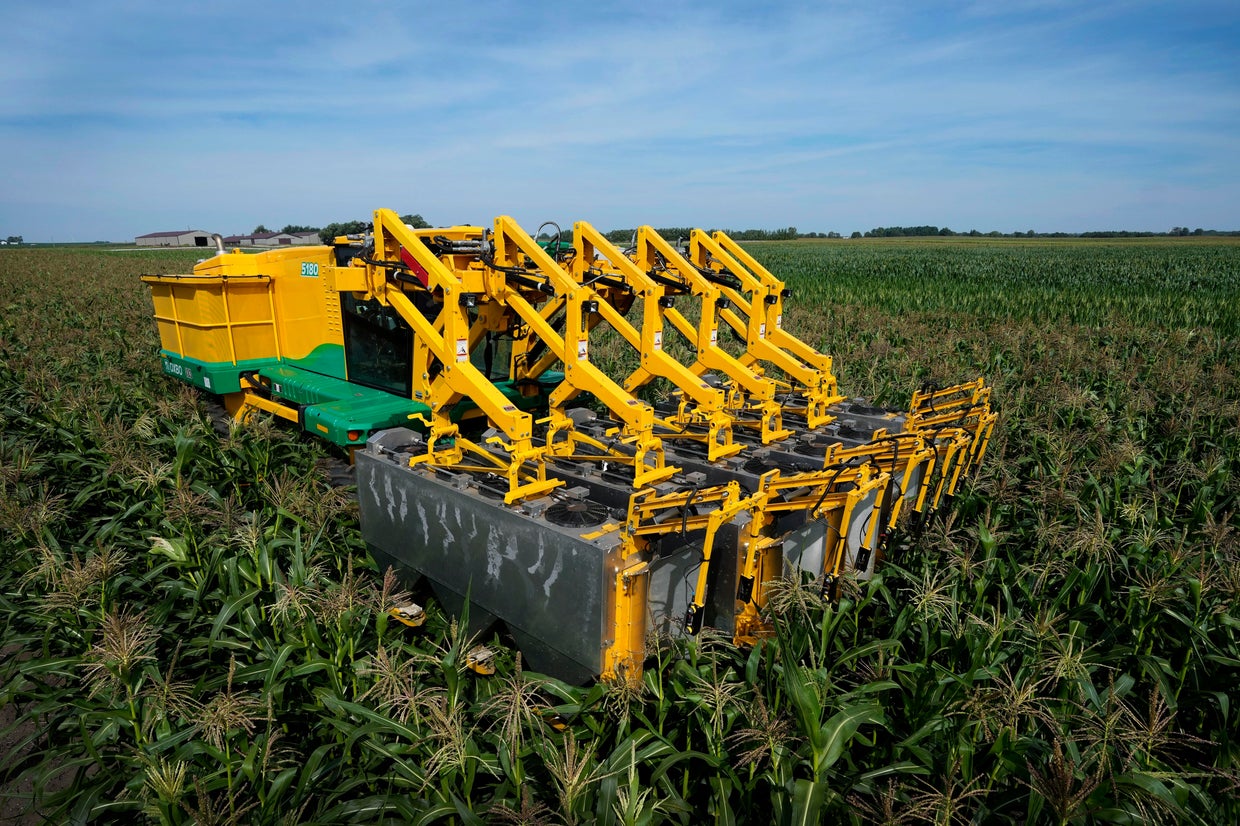 Automation in agriculture offers solutions for farmers, but workers ...