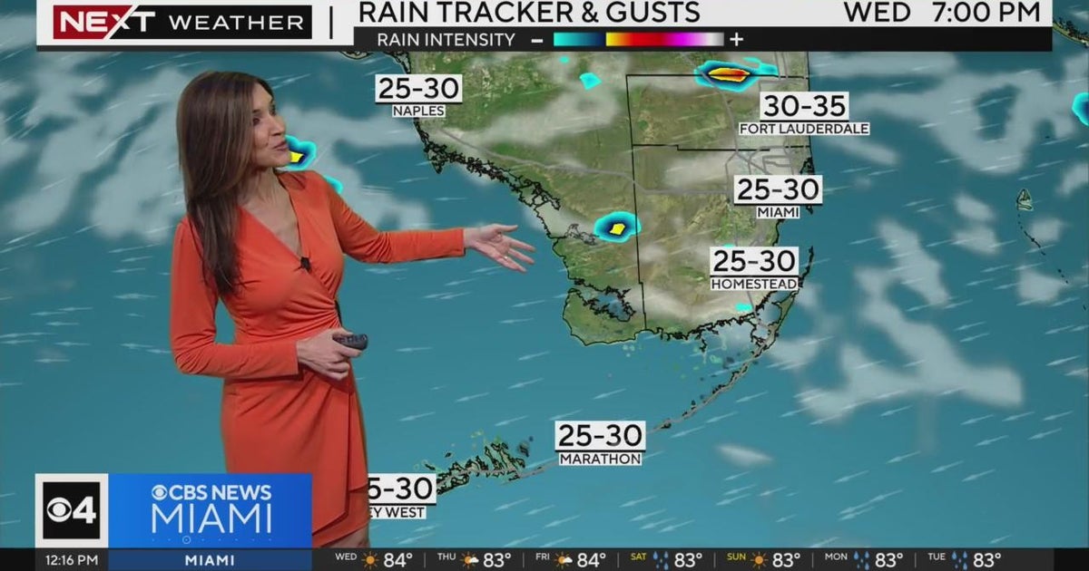 South Florida Weather for Wednesday 10/30/2024 12PM - CBS Miami