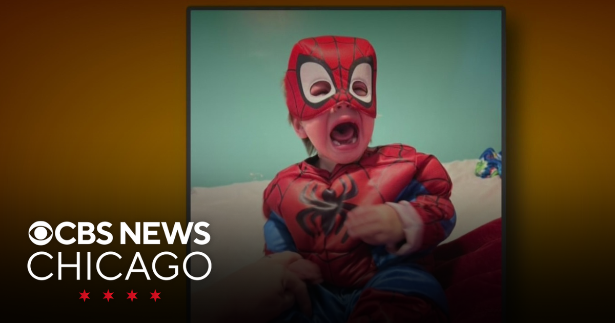 Crying Spiderman, Pennywise the dog and a jellyfish: Chicago's best ...