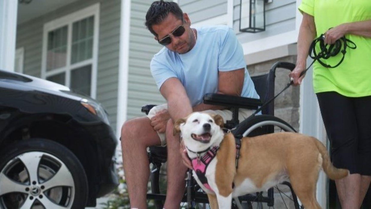 An Illinois couple's first date ended in horror after both were shot ...