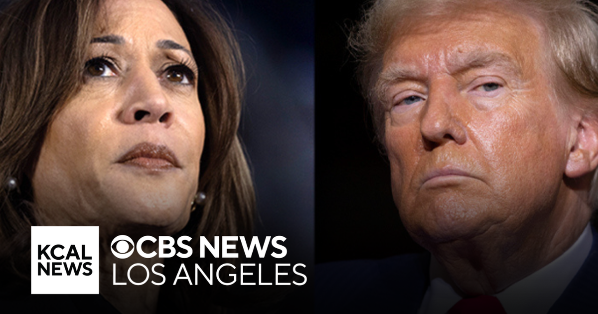 Chapman University political science professor talks 2024 election ...