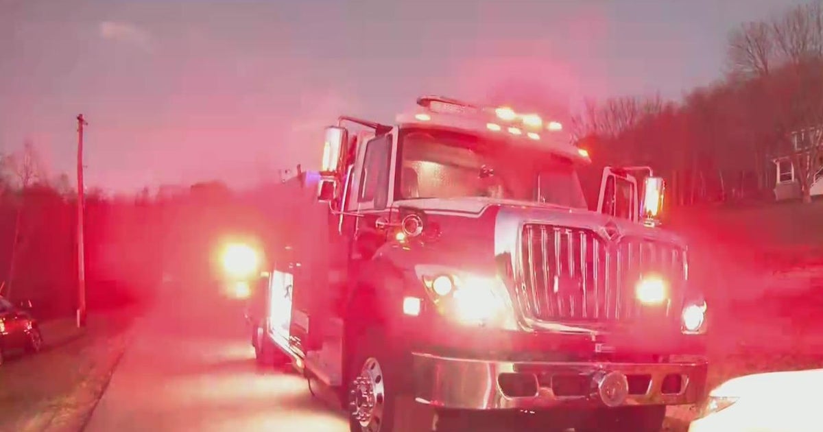 Firefighter hit by falling tree while battling brush fire in ...
