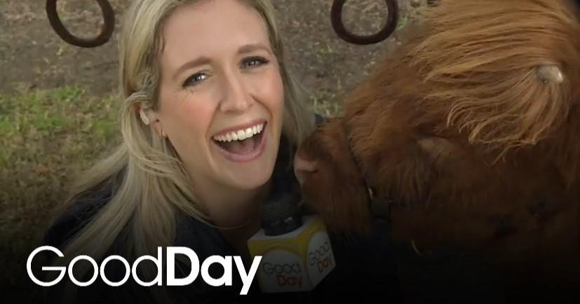 Molly's at The Drunken Burro with an Adorable New Server! - Good Day ...