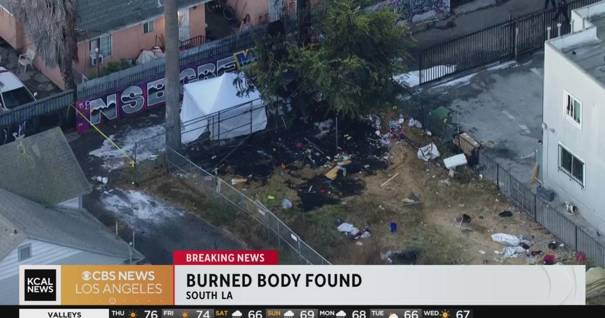 Dead body discovered after tree fire in South LA - CBS Los Angeles