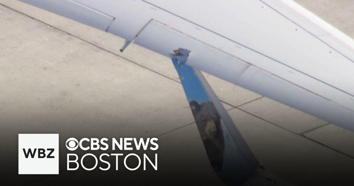 Passengers recall scary moment Frontier, American planes clipped wings at Boston's Logan Airport ...