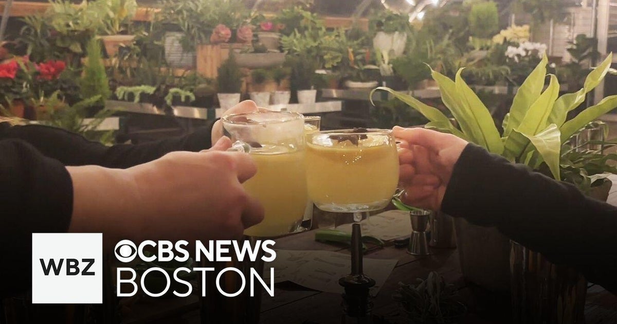 Bartender becomes an herbalist to develop cleaner drinks and mocktails ...