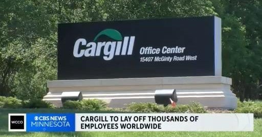 Cargill to lay off thousands of workers - CBS Minnesota