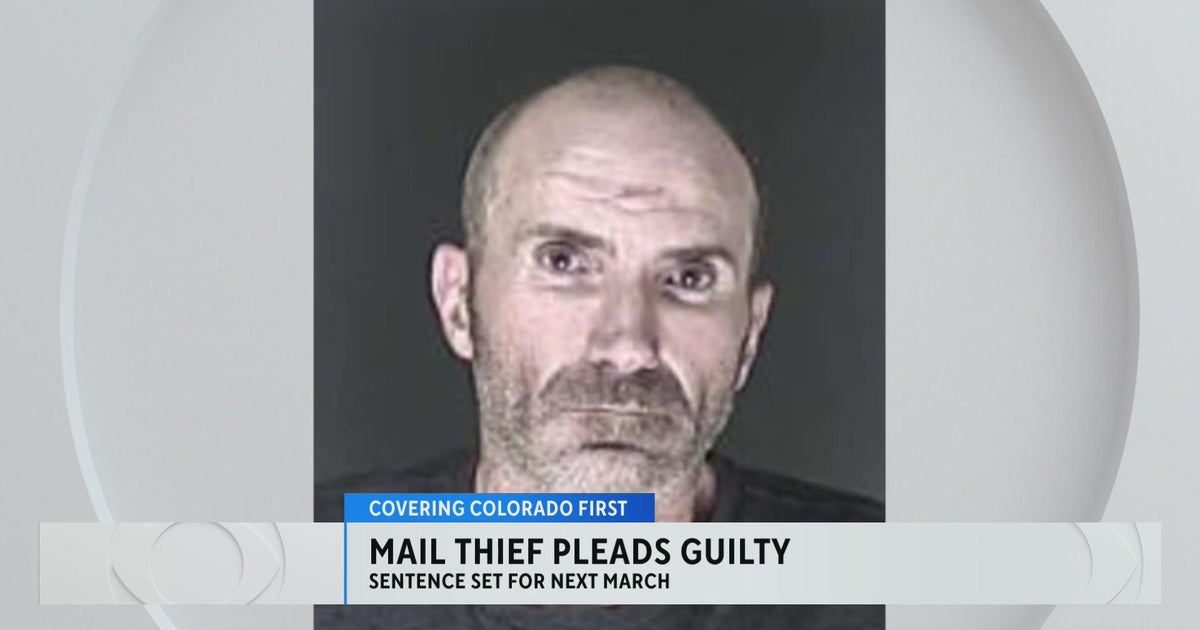 Mail theft suspect faces up to five years in prison after pleading ...