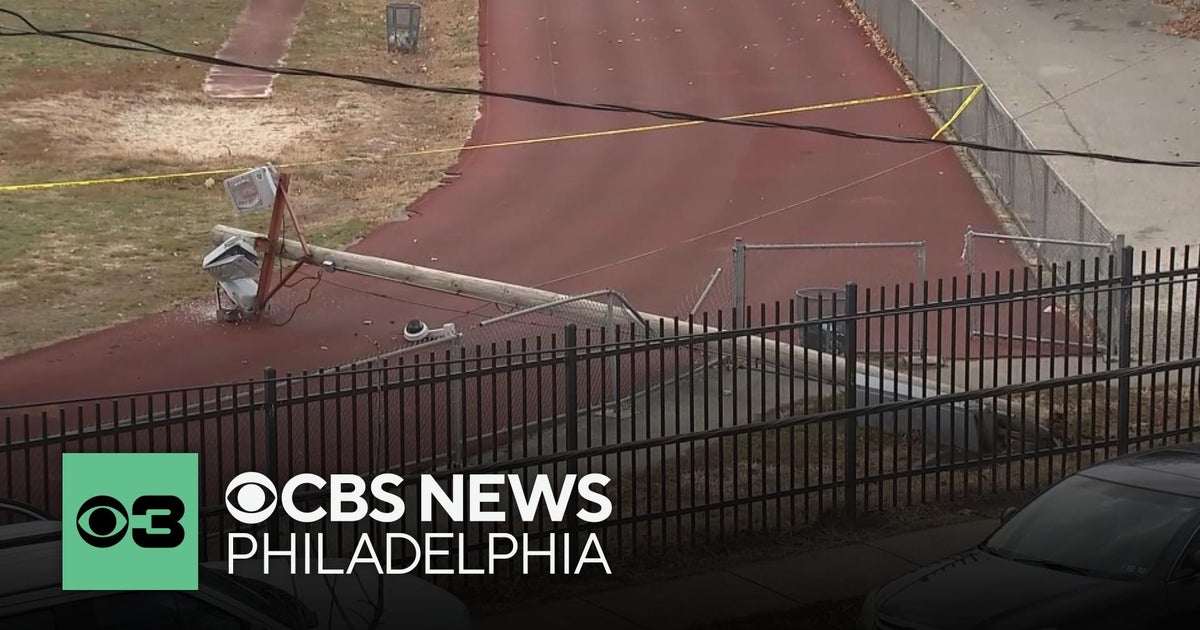 Woman killed in "freak accident" in Roxborough after strong winds ...