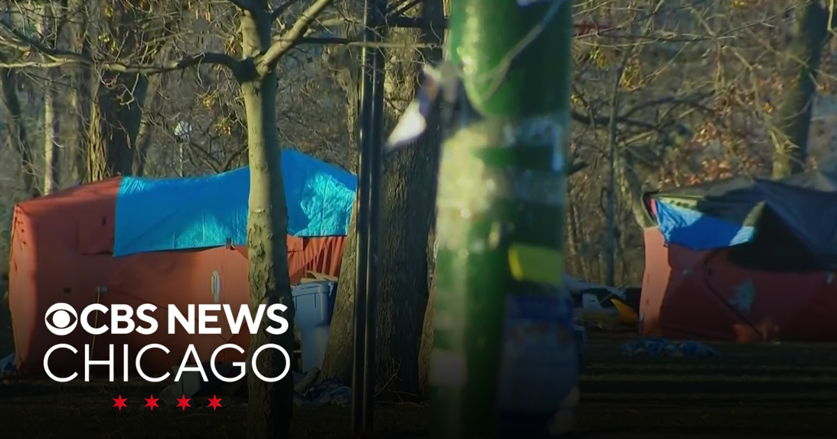 Homeless encampment being removed in Humboldt Park - CBS Chicago