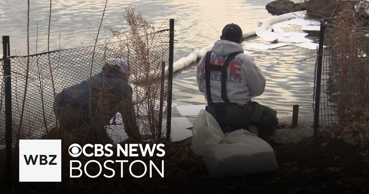 Crews work to contain oil spill from Boston's Muddy River - CBS Boston