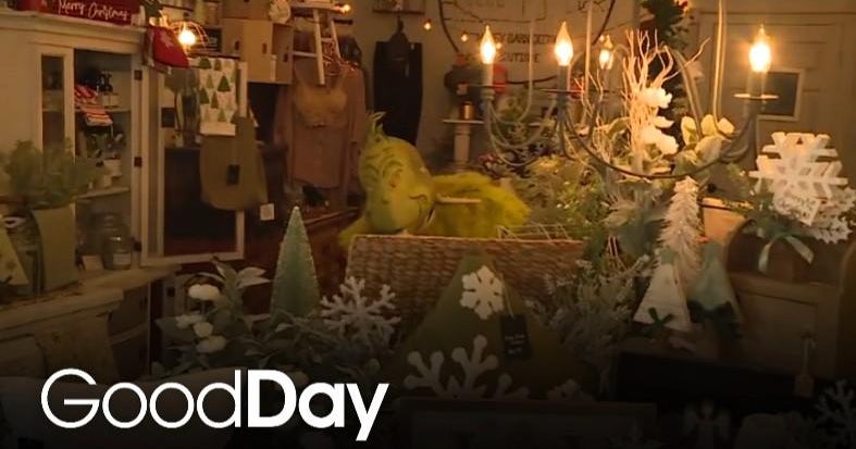 Molly Checks Out the 2nd Annual Grinch Hunt! - Good Day Sacramento