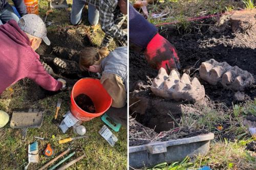 Mastodon bones found in backyard in Orange County, New York - CBS New York