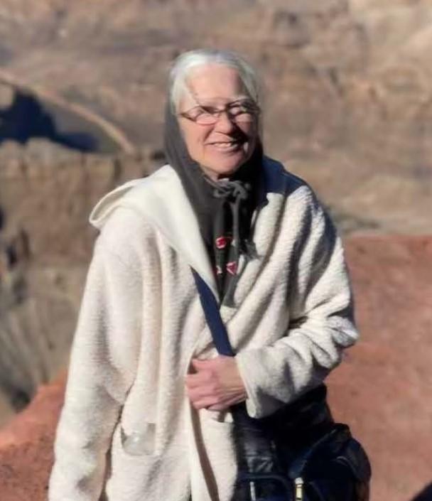 Michigan woman reported missing at Grand Canyon National Park - CBS Detroit
