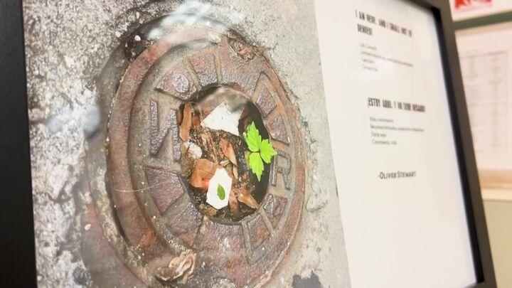 Jessi Mitchell - CBS News New York