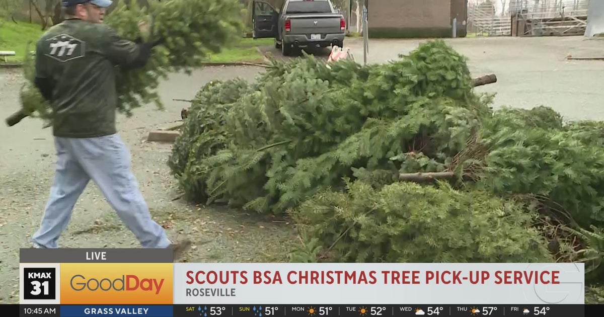 Scouts BSA Christmas Tree Pick-Up Service! - Good Day Sacramento