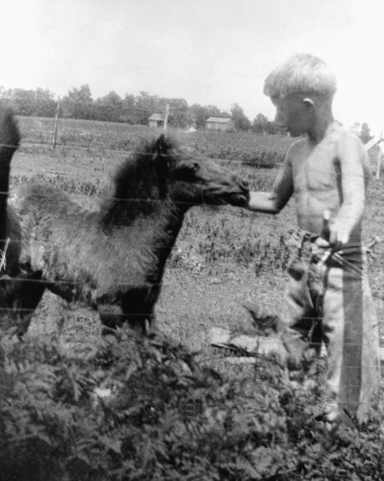 Jimmy Carter's extraordinary life in pictures, from peanut farm to ...