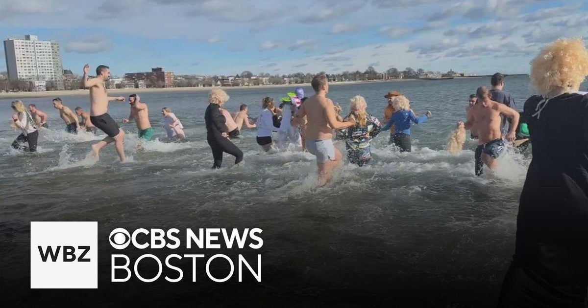 People dress up in costume to raise money for ALS with polar plunge in ...