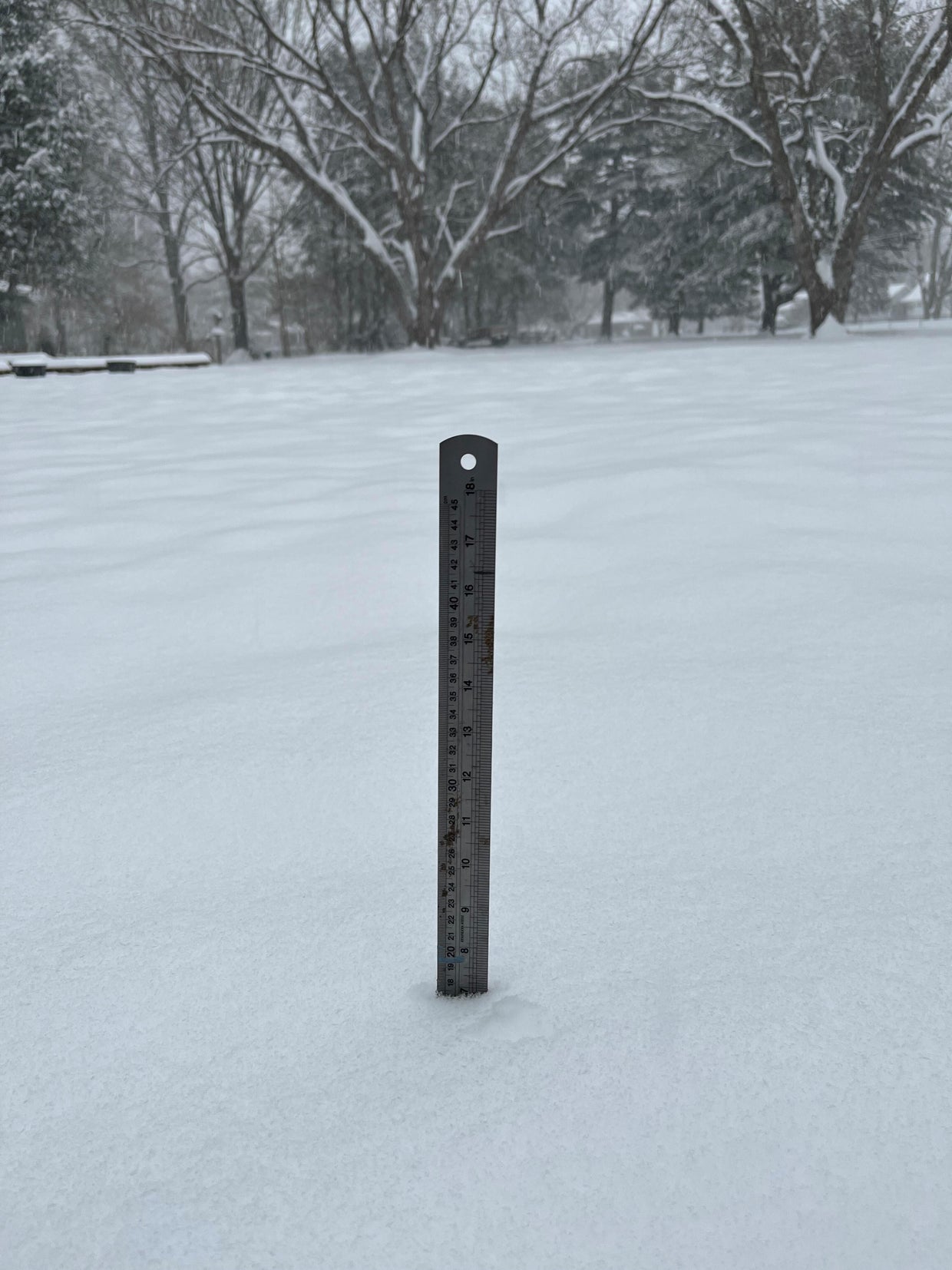 Baltimore saw its biggest snowfall in 3 years. Here's how much snow ...