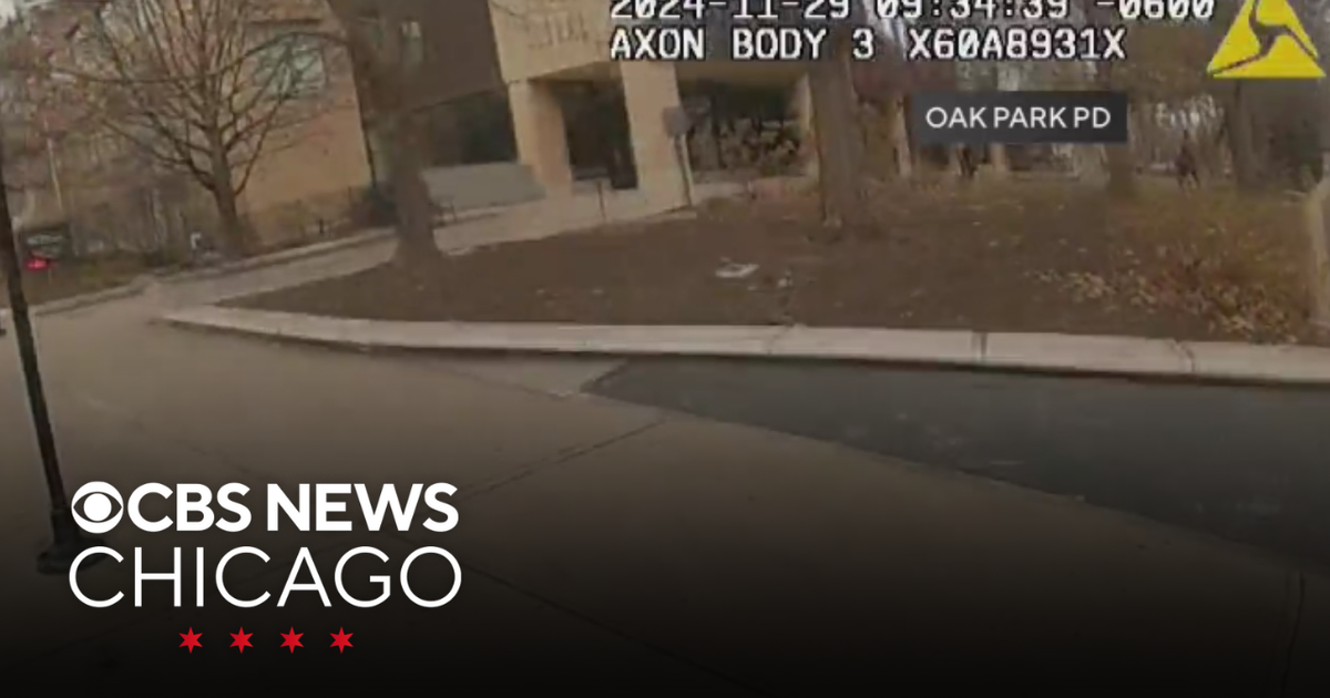 New bodycam video shows shooting that left Oak Park, Illinois police ...