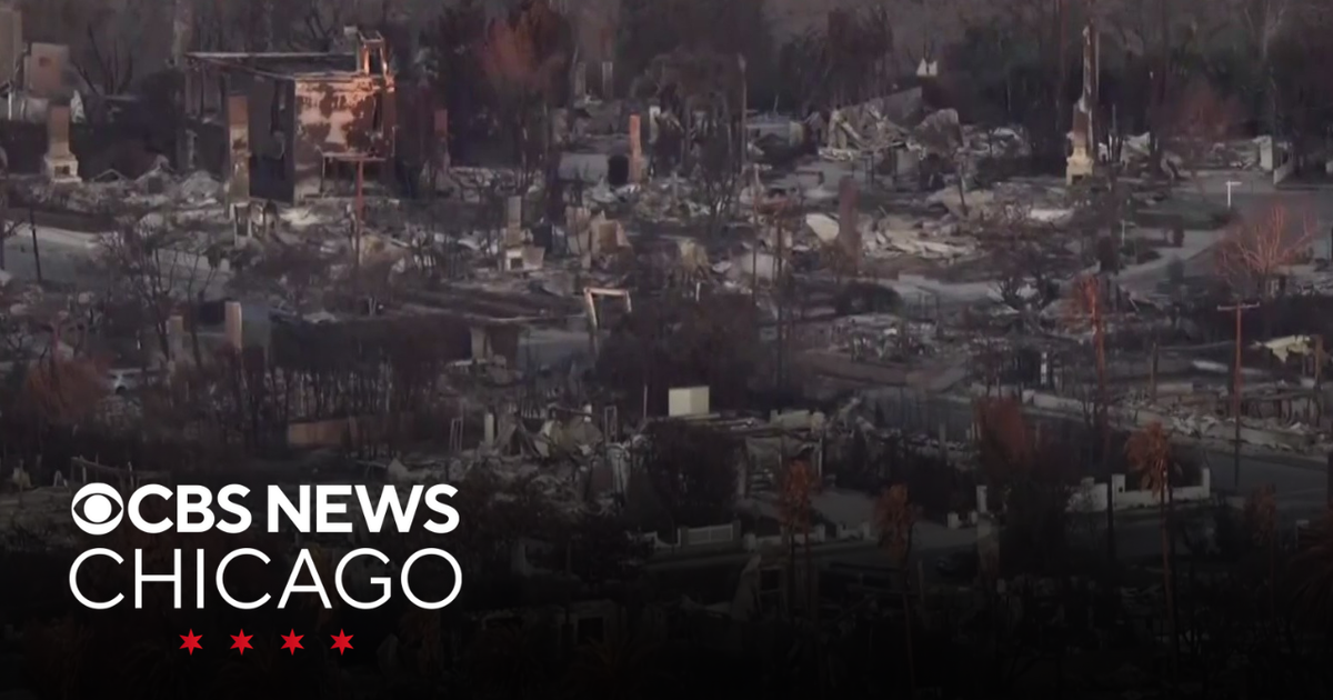 Most Lausd Schools To Reopen As Wildfires Continue Cbs Chicago