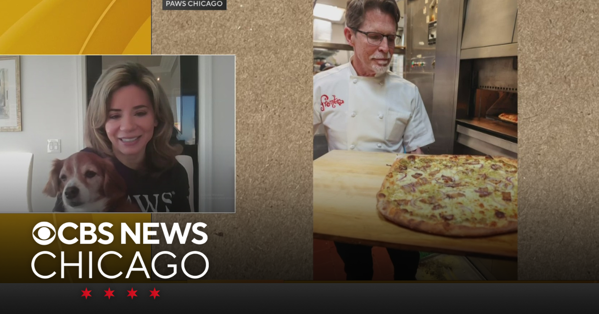 PAWS Chicago “Slice to Meet You” campaign - CBS Chicago