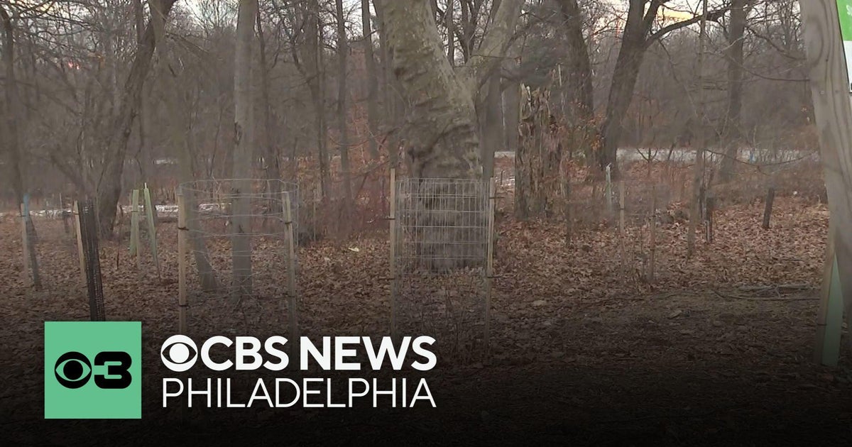 Philadelphia police, animal control officers search for dogs that ...