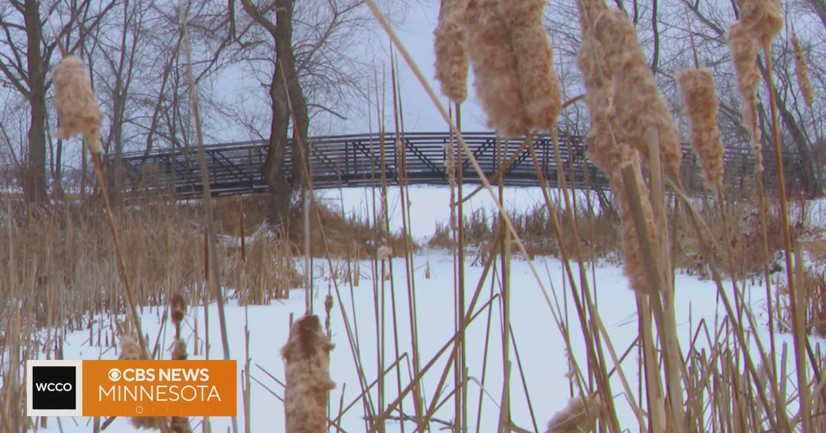 As we approach winter's most desolate stretch, here's how to beat the ...