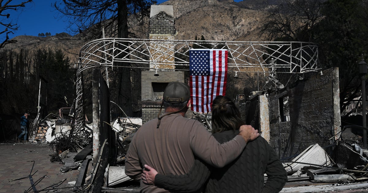 Los Angeles Wildfires: The Role of Embers in Spreading Flames - News ...