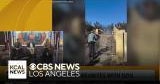 Fire victim who reunited with his dog after Palisades Fire shares his ...