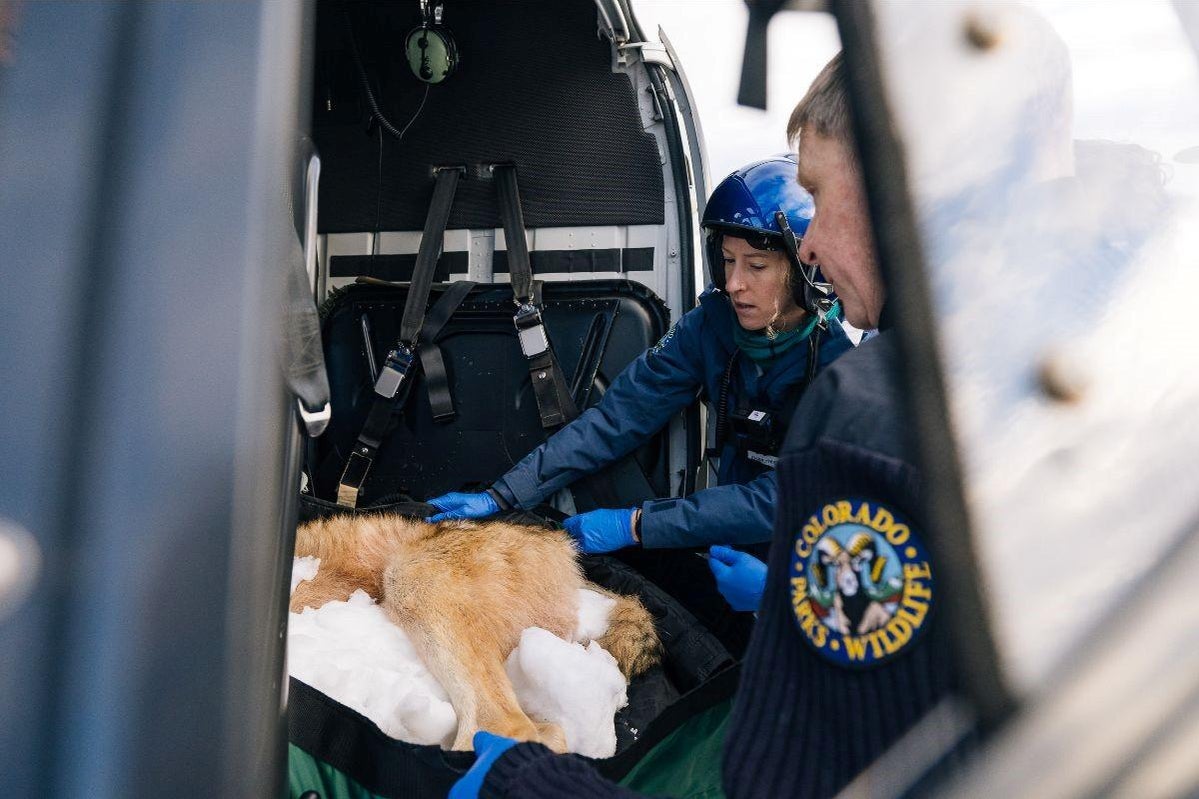 Colorado ranchers, representatives express concerns and hopes over ...