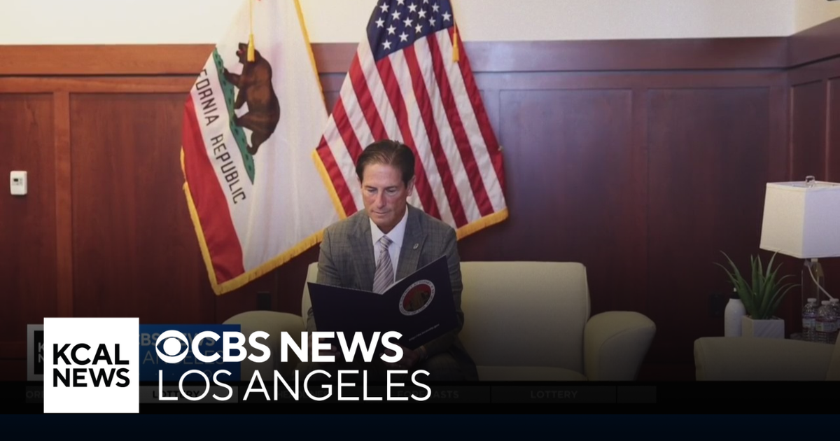 DA Nathan Hochman doubles down on vow to prosecute looters in LA ...