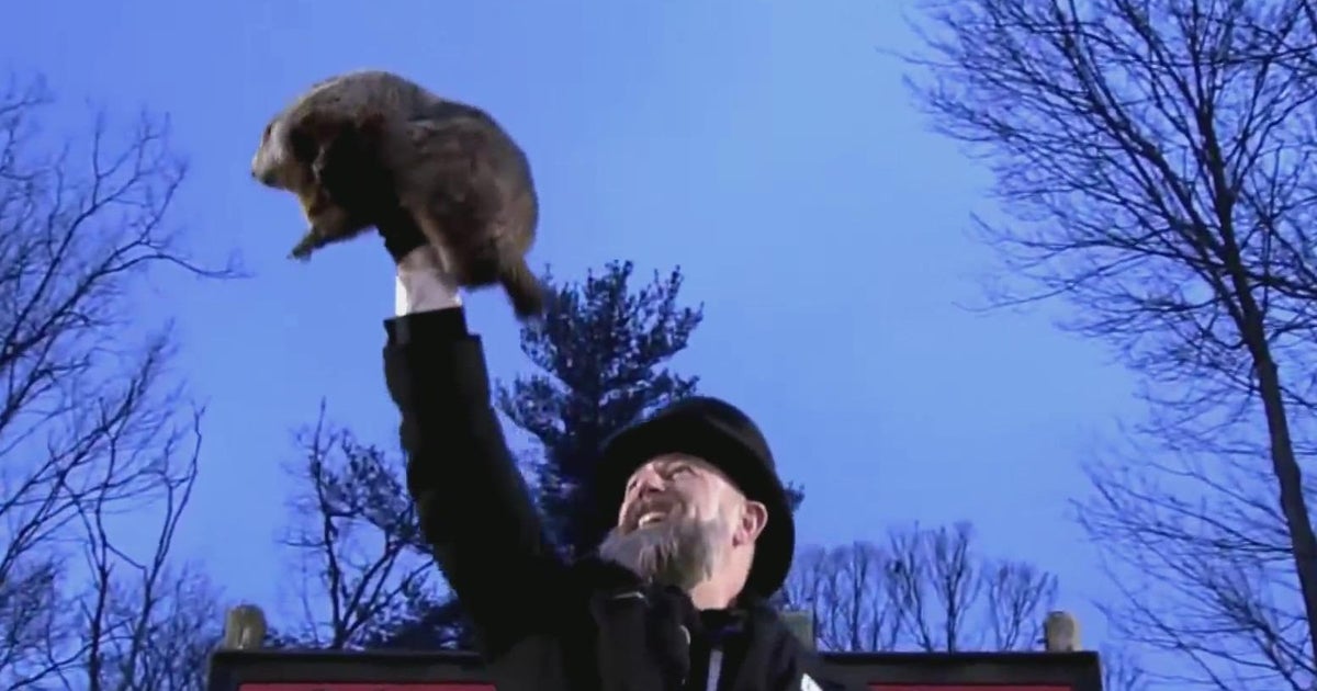 Did Punxsutawney Phil see his shadow? - CBS Pittsburgh
