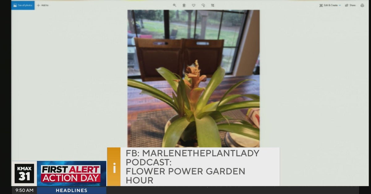 The Plant Lady 9am Pt. 2 2/2 - Good Day Sacramento