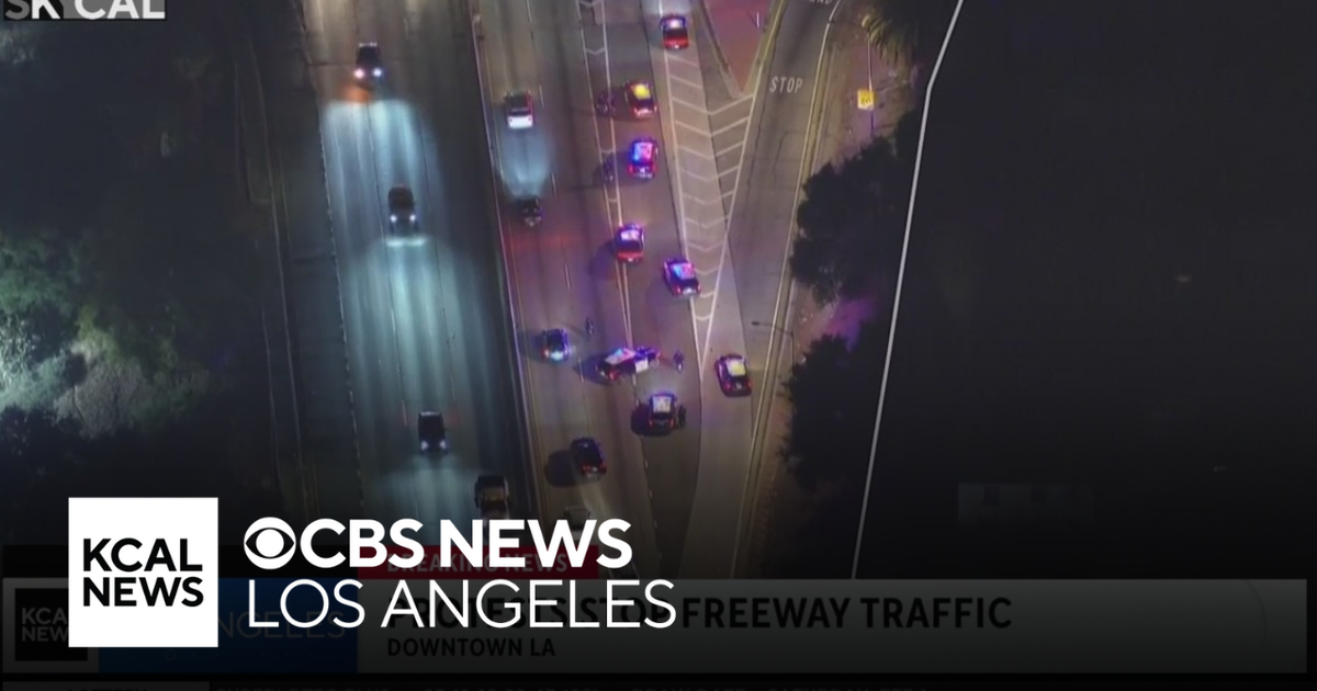 Protests briefly disrupt traffic on 101 Freeway - CBS Los Angeles