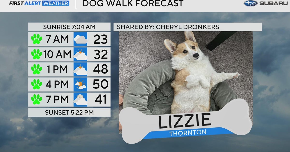 Lizzie joins Dog Walk Forecast - CBS Colorado