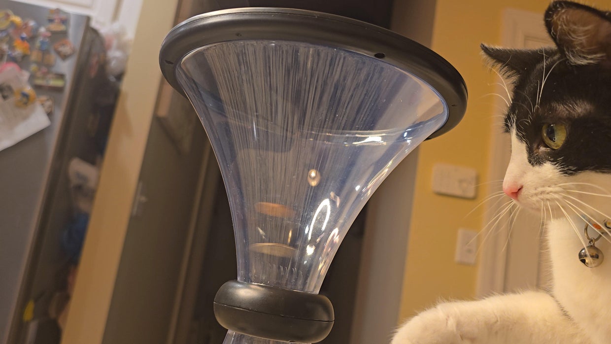 Using a money vortex to collect coins | Hey Ray - CBS Pittsburgh