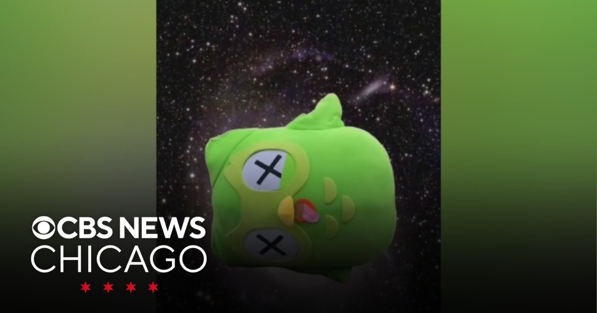 Death of Duolingo mascot Duo takes a new turn - CBS Chicago