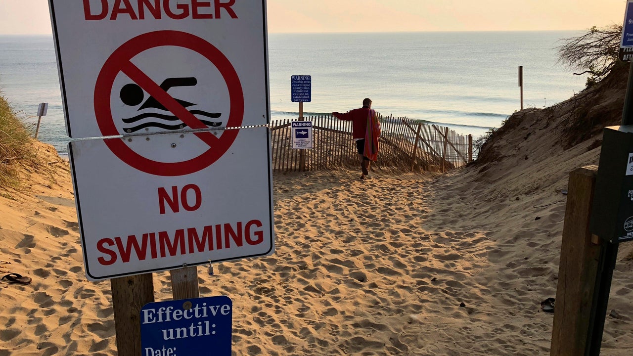 Shark Attack news - Today’s latest updates - CBS San Francisco