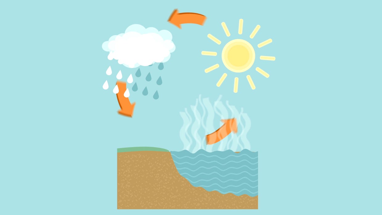 The sun can cause you to sneeze if you have this condition | Hey Ray ...